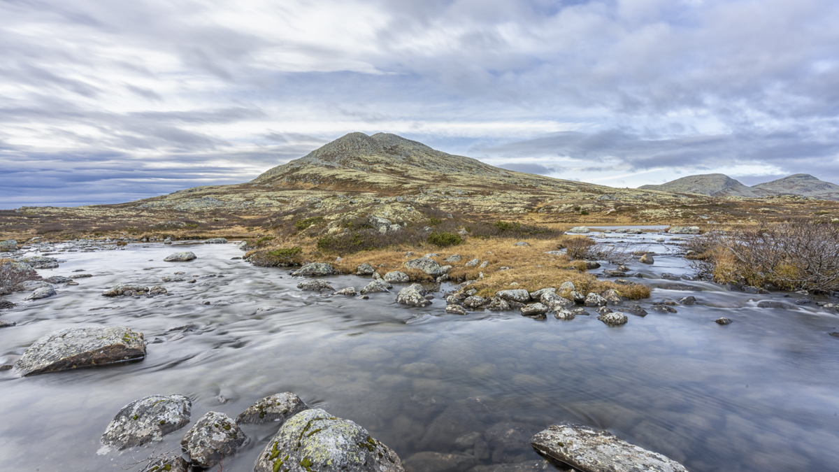 Ann Coppens | Fotografie Stekene | Portfolio Natuur, Wildlife & Landschap