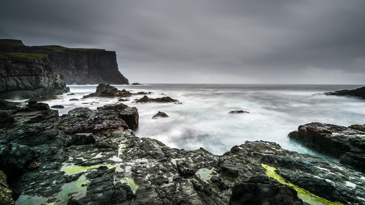 Ann Coppens | Fotografie Stekene | Portfolio Natuur, Wildlife & Landschap