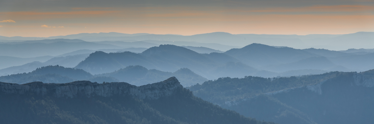 Ann Coppens | Fotografie Stekene | Portfolio Natuur, Wildlife & Landschap