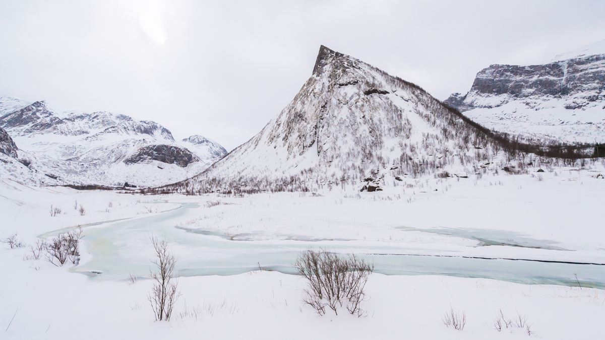 Ann Coppens | Fotografie Stekene | Portfolio Natuur, Wildlife & Landschap