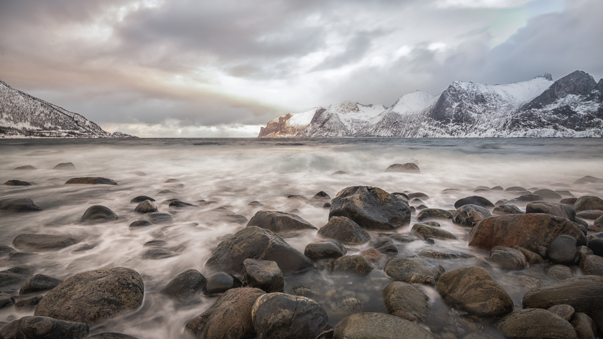 Ann Coppens | Fotografie Stekene | Portfolio Natuur, Wildlife & Landschap