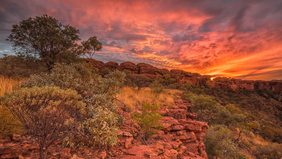 Ann Coppens | Fotografie Stekene | Portfolio Natuur, Wildlife & Landschap