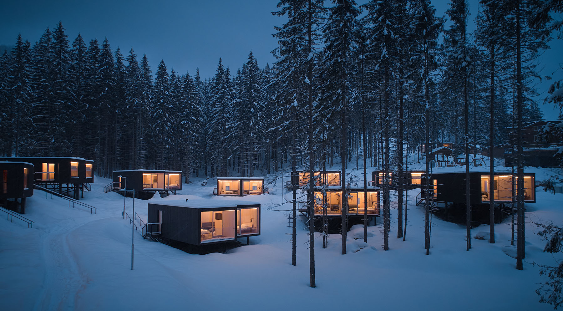 Ark Shelter | Studio