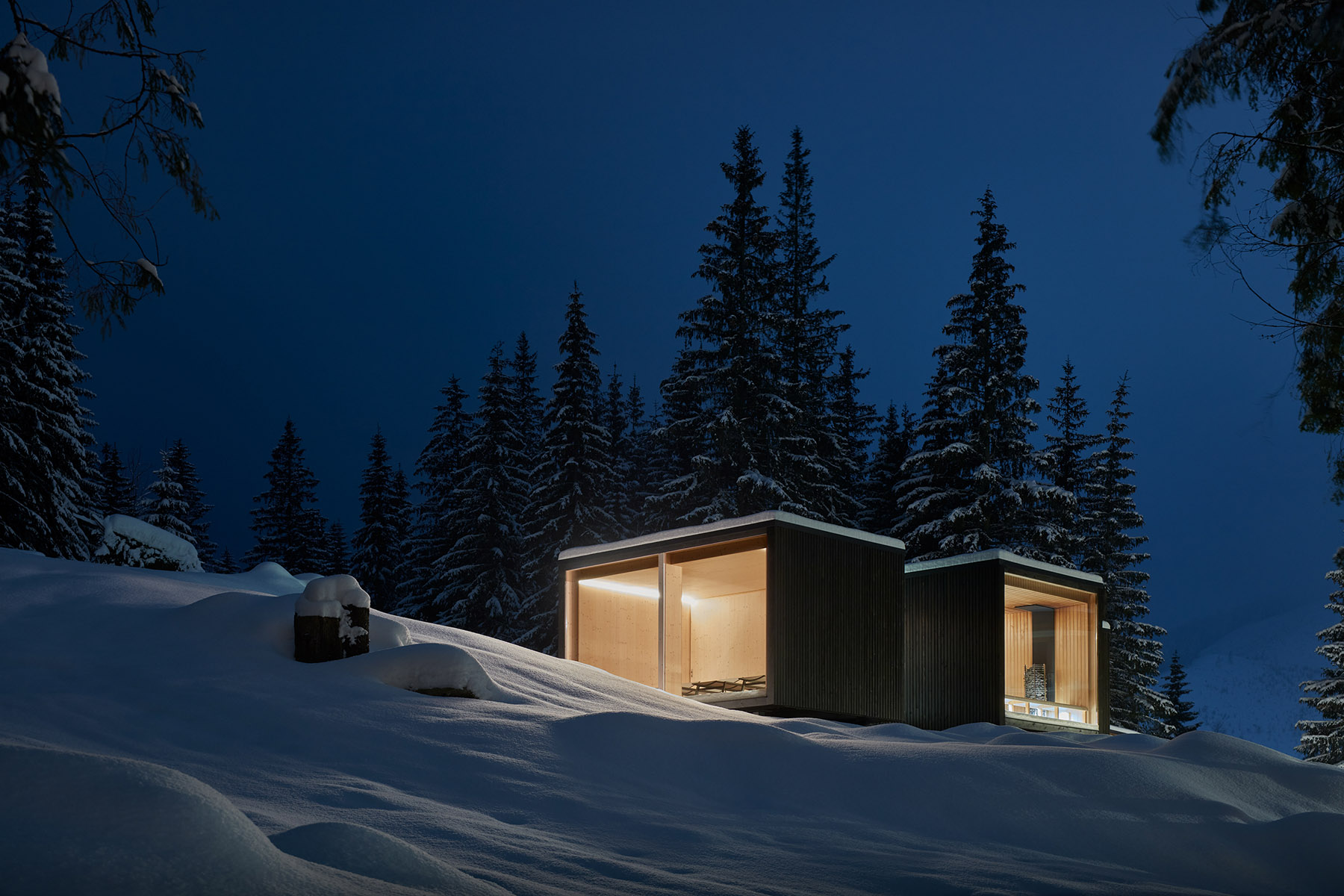 Ark Shelter | Studio