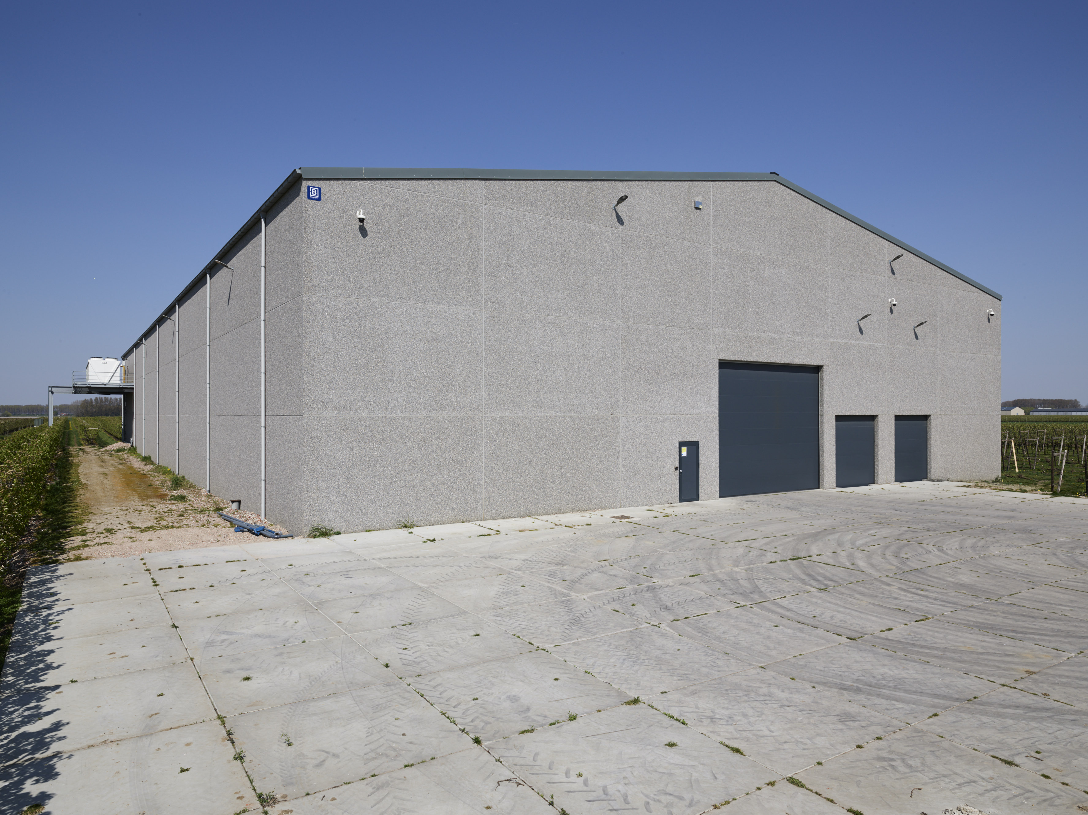 Gefi Fruit | Agrobouw