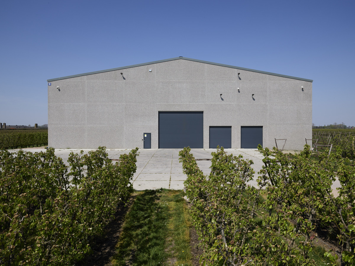 Gefi Fruit | Agrobouw