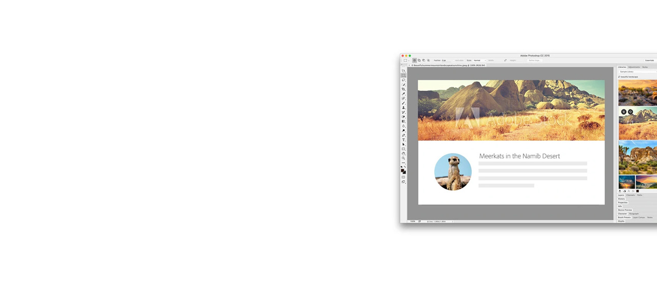 Adobe Stock - Lab9 Pro | Adobe Platinum Partner