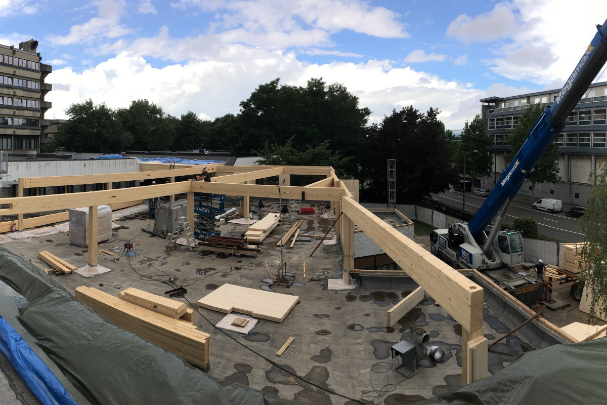 Laminated Timber Solutions | Waar loopt het fout tijdens CLT-bouw?