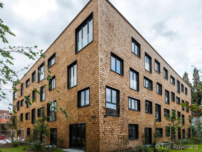Cedar shingles treated with fire-retardant