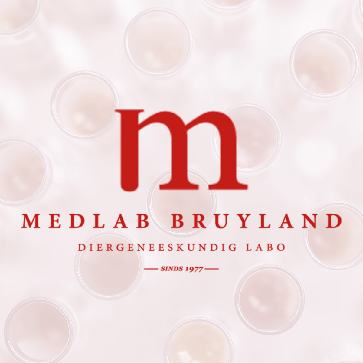 Medlab Bruyland