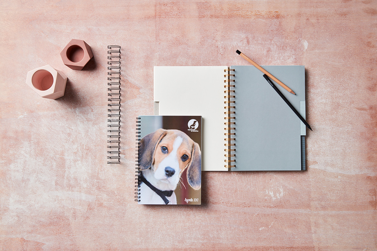 O'blong | Afwerking | Tab indelingen