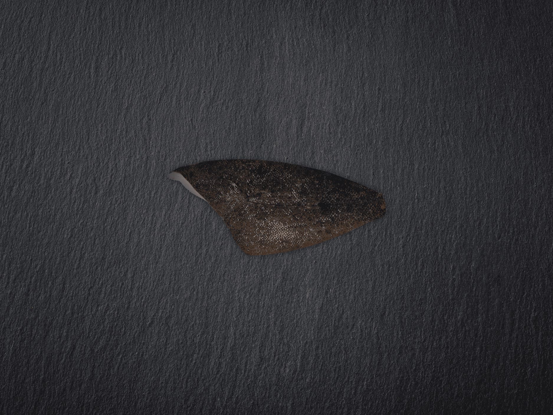 Griet bruto 1/2kg - De Vistrap