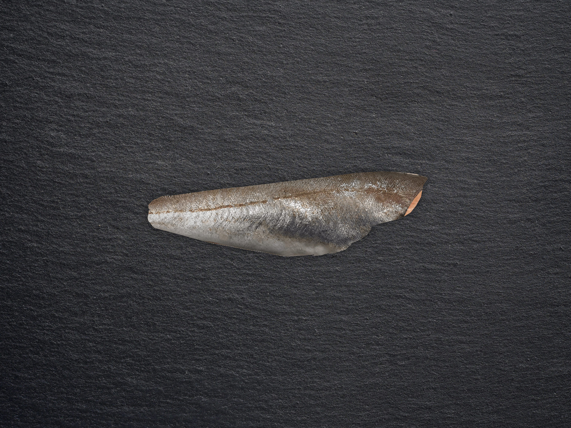 Wijting voorgefileerd filet - De Vistrap