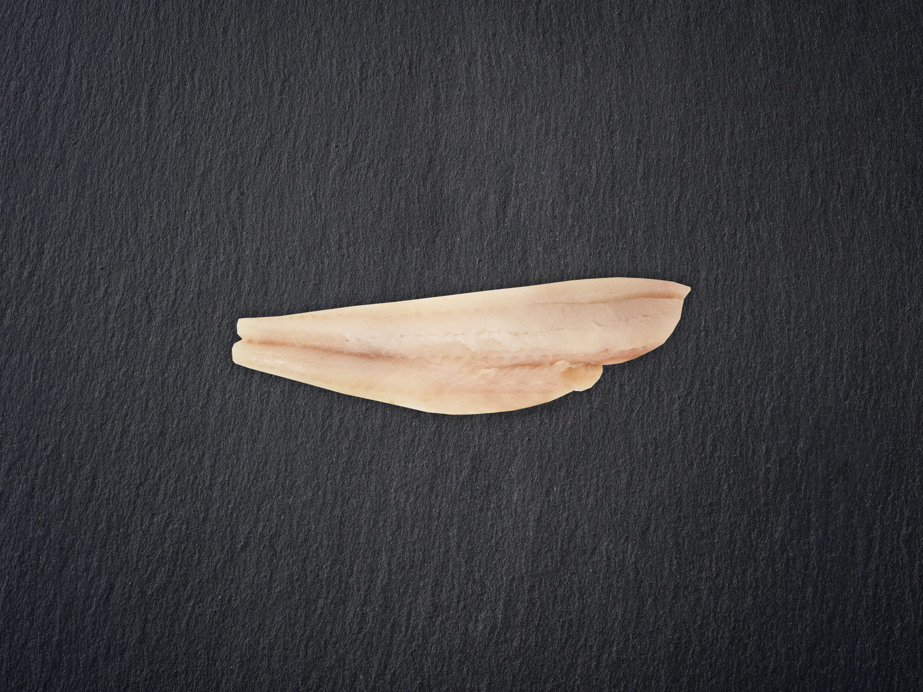 Wijting voorgefileerd filet - De Vistrap