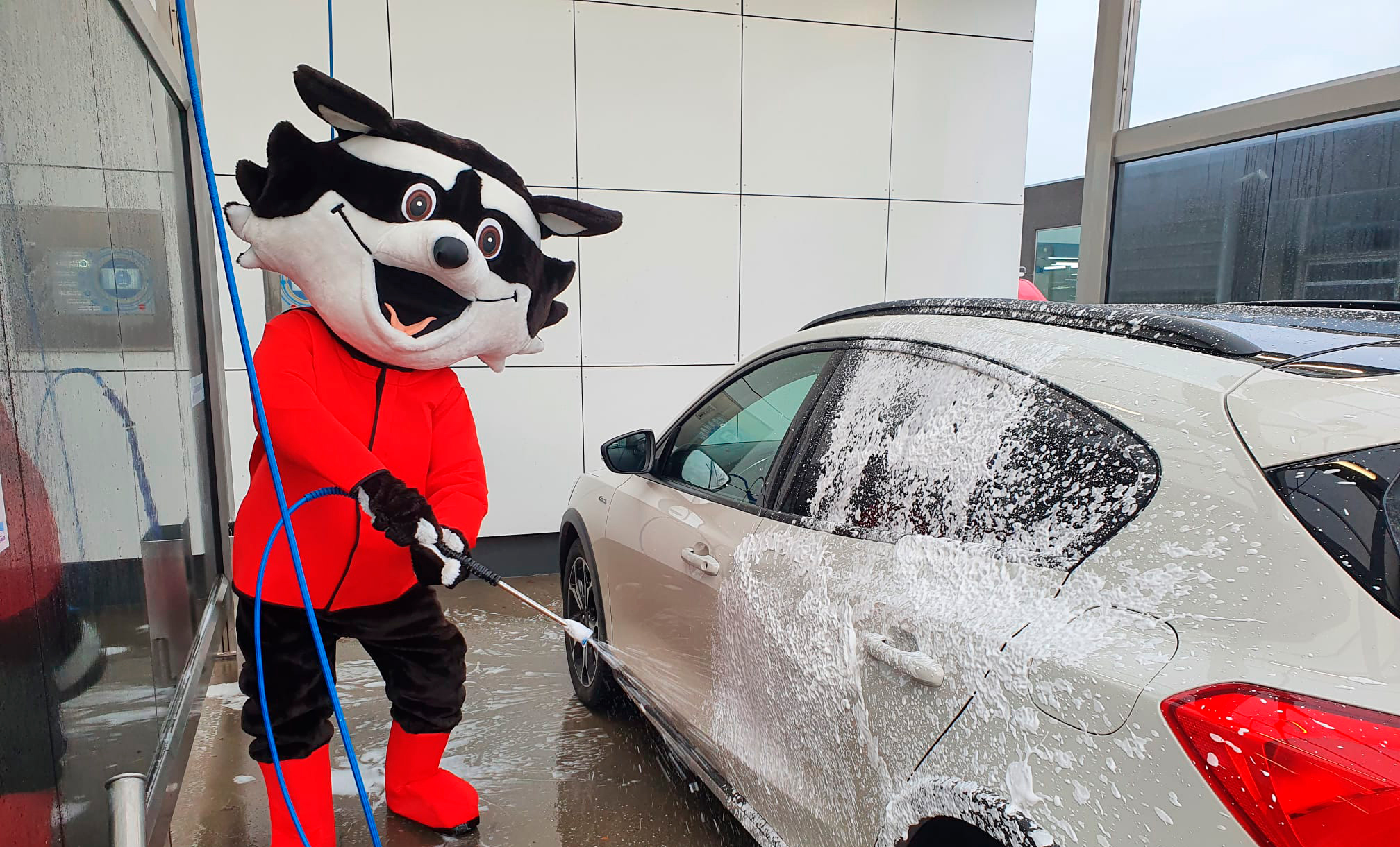 Een overzicht van onze carwashes | De Wasbeer